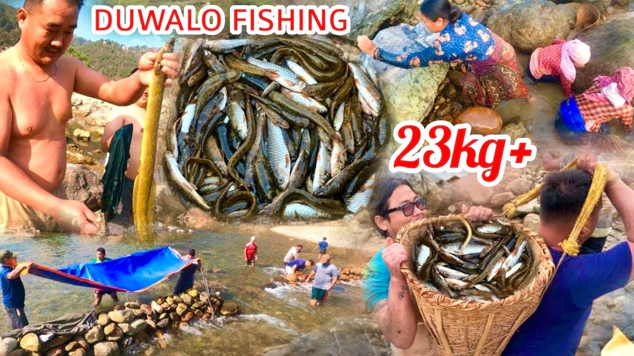 Traditional Fishing in Winter Duwali Fishing in The Syangja Aadhikhola ...