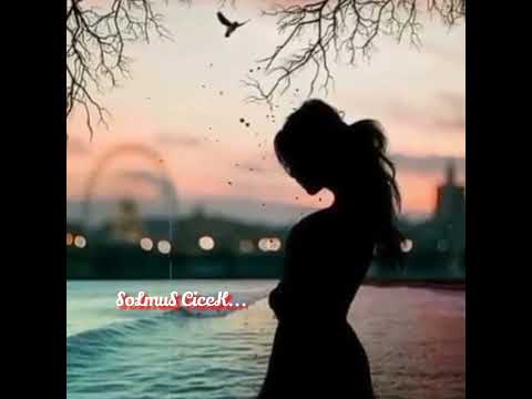🌹🦋Whatsapp statuslari 2022 Sounds App Qemli Sevgi Statuslari Menali Sevgi videolari 2022