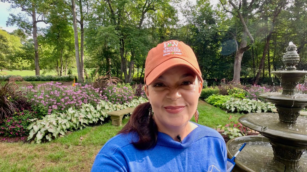 Spectacular September Flowers & Terraced Garden Update - YouTube