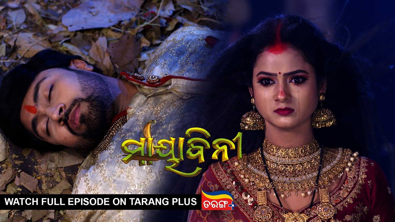 Mayabini | Ep 106 | 16th Feb 2023 | Watch Full Episode Now On Tarang ...