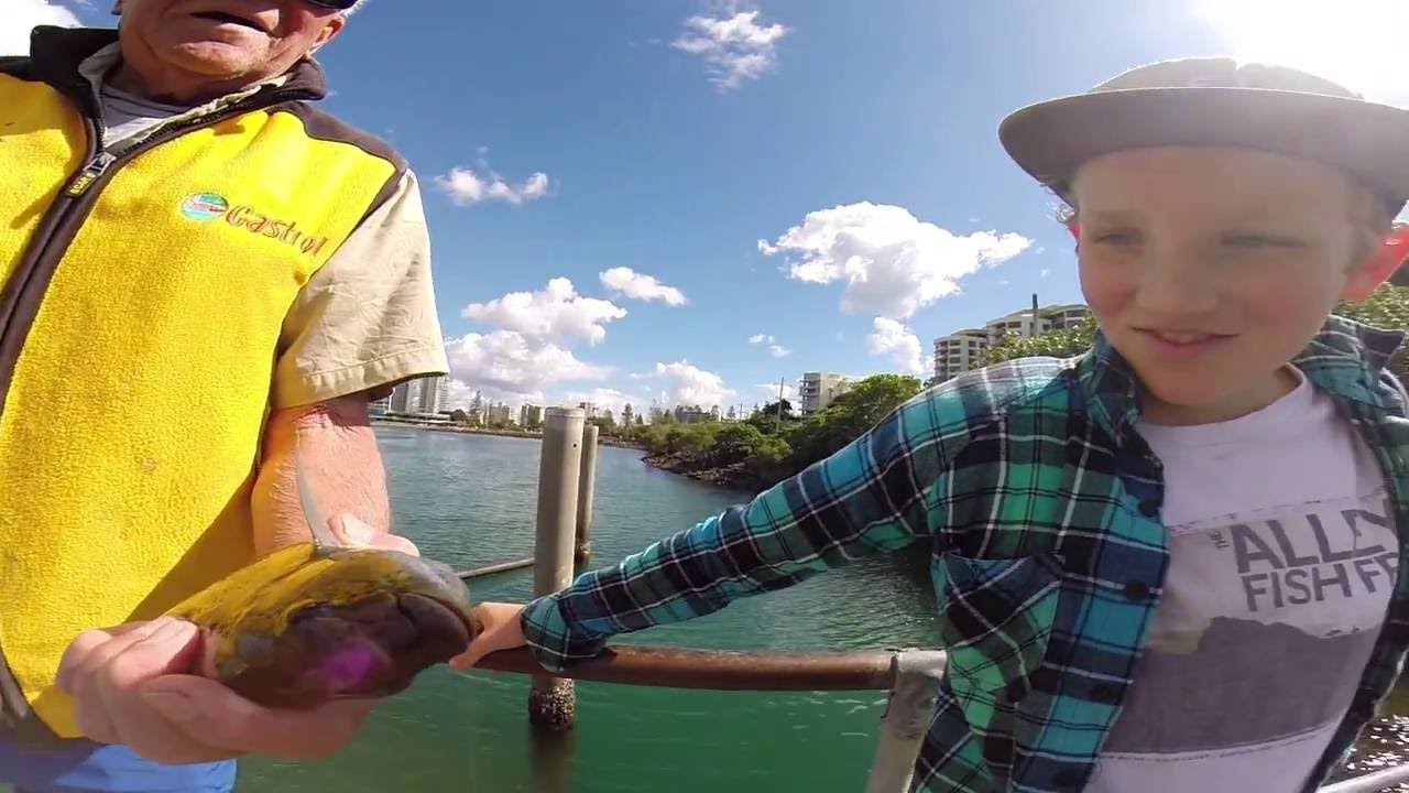 Fishing for Luderick on the Tweed - YouTube