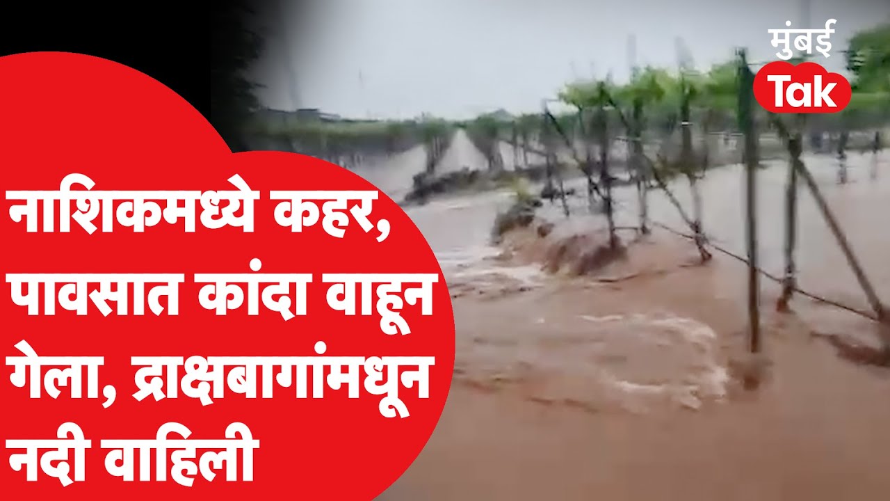 Nashik Rain Update : द्राक्षबागांना पावसाचा फटका,कांदा वाहून गेला,मका जमीनदोस्त | Mansoon Update ...