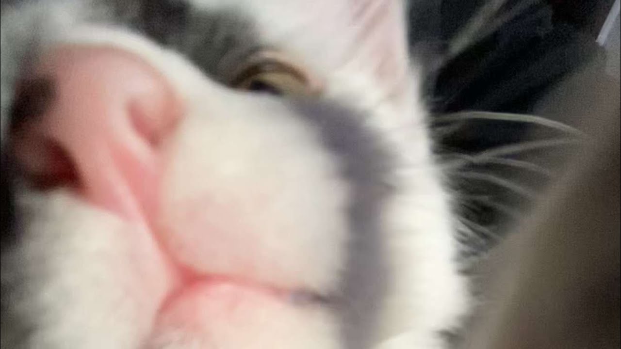 Vlog in school (its boring ASF) - YouTube