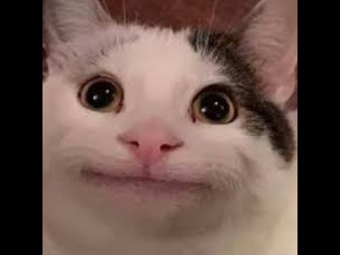how to get a big gyat - YouTube