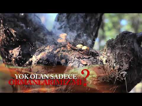 Tarım ve Orman Bakanlığı \