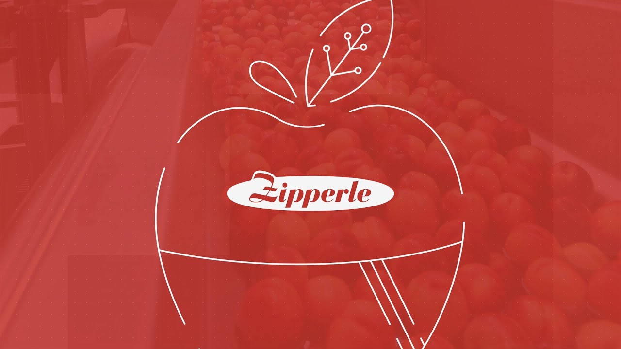 ZIPPERLE: con EOS Solutions la trasformazione digitale dà sempre buoni ...