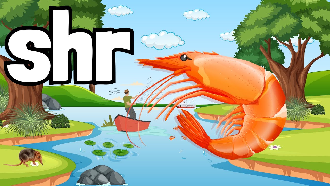 shr | Digraphs | Reading | Writing | Phonics - YouTube