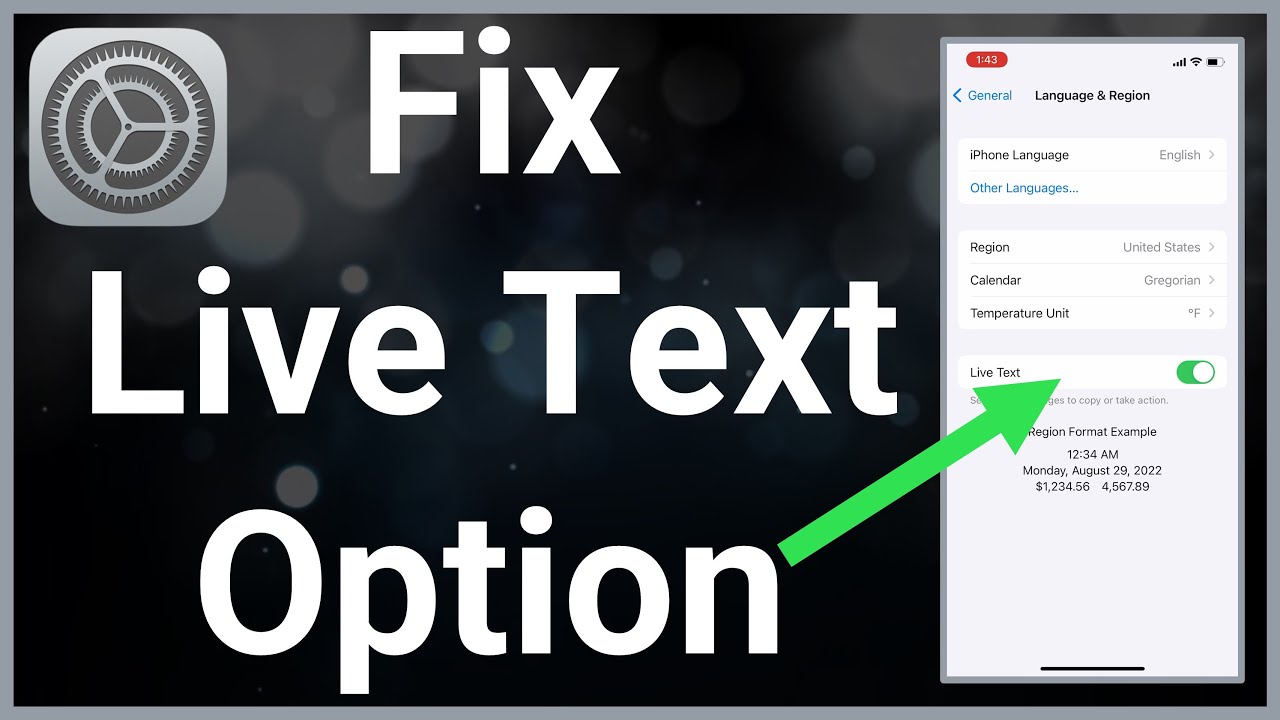 How To Fix & Activate Live Text On iPhone - YouTube