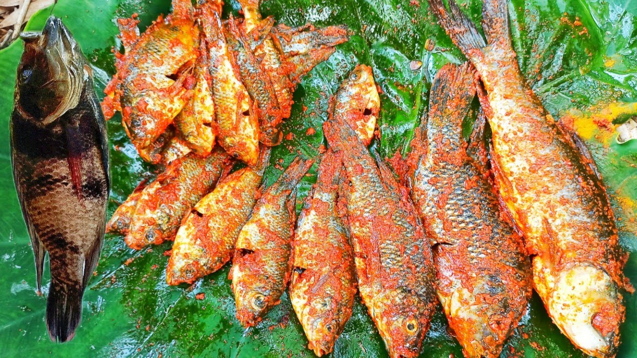 FISHING INDIAN CARP||Fishing and Cooking Indian Carp In Jungle||So ...