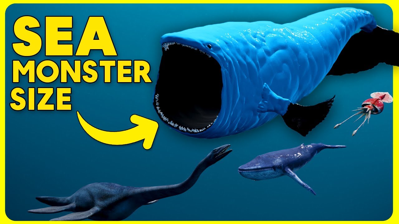 Legendary Sea Monsters Size Comparison - YouTube