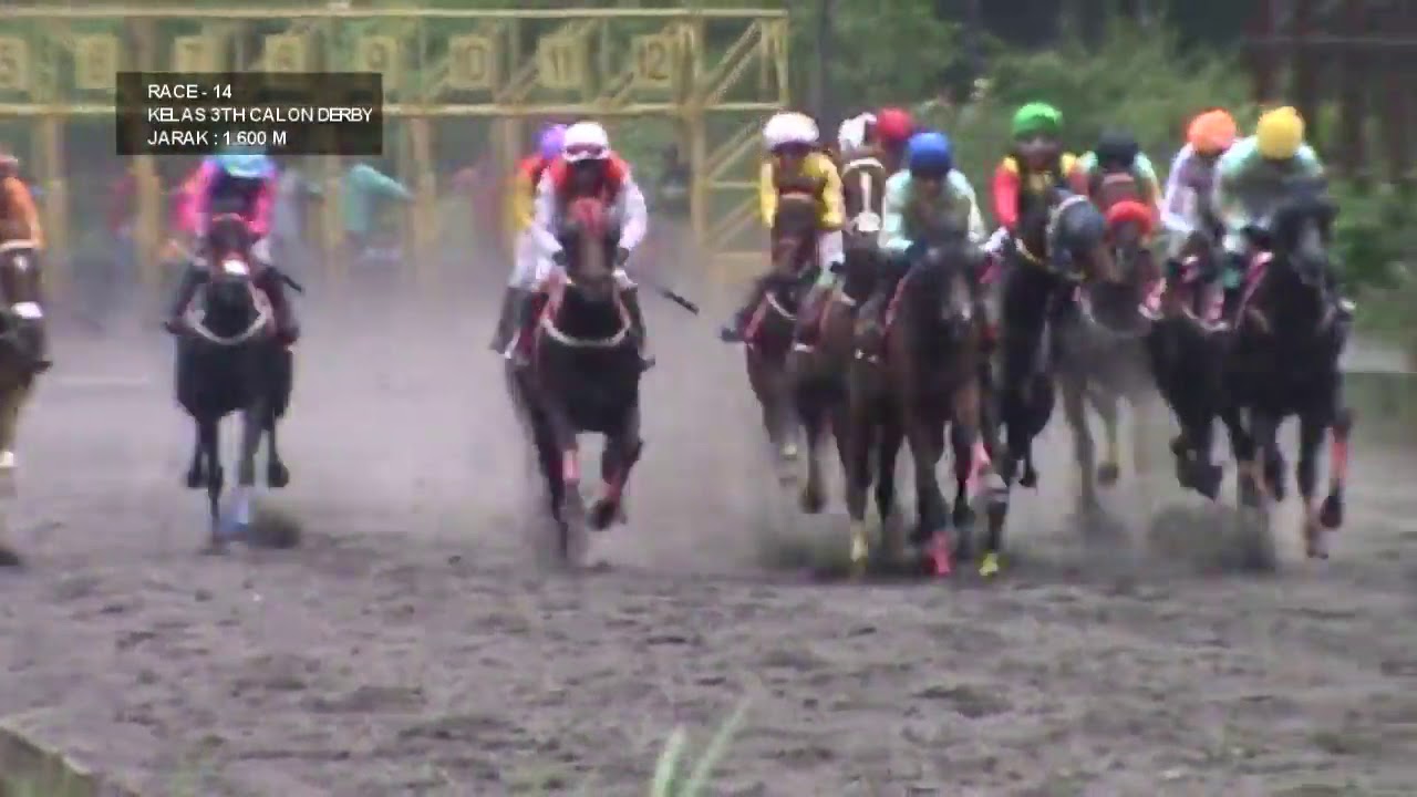 PACUAN KUDA JATENG DERBY 2020 || kelas derby 1600 meter - YouTube