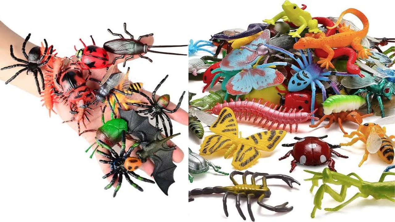 Best Insects Toys Video. Best Rubber Bugs Toys Video. Insects for Kids ...