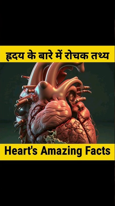 Mind Blowing Facts About Heart Amazing Facts About Heart Facts About