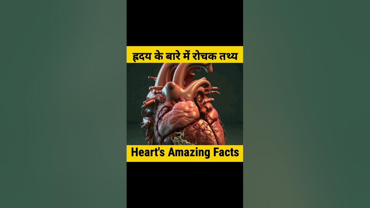 Mind Blowing Facts About Heart Amazing Facts About Heart Facts About