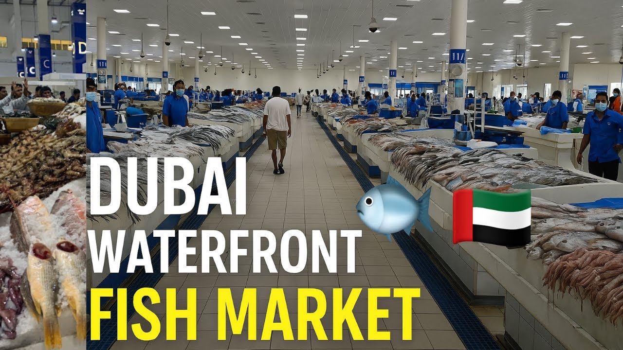 Dubai Waterfront Fish Market – Fresh Seafood, Local Vibes & Hidden Gems ...