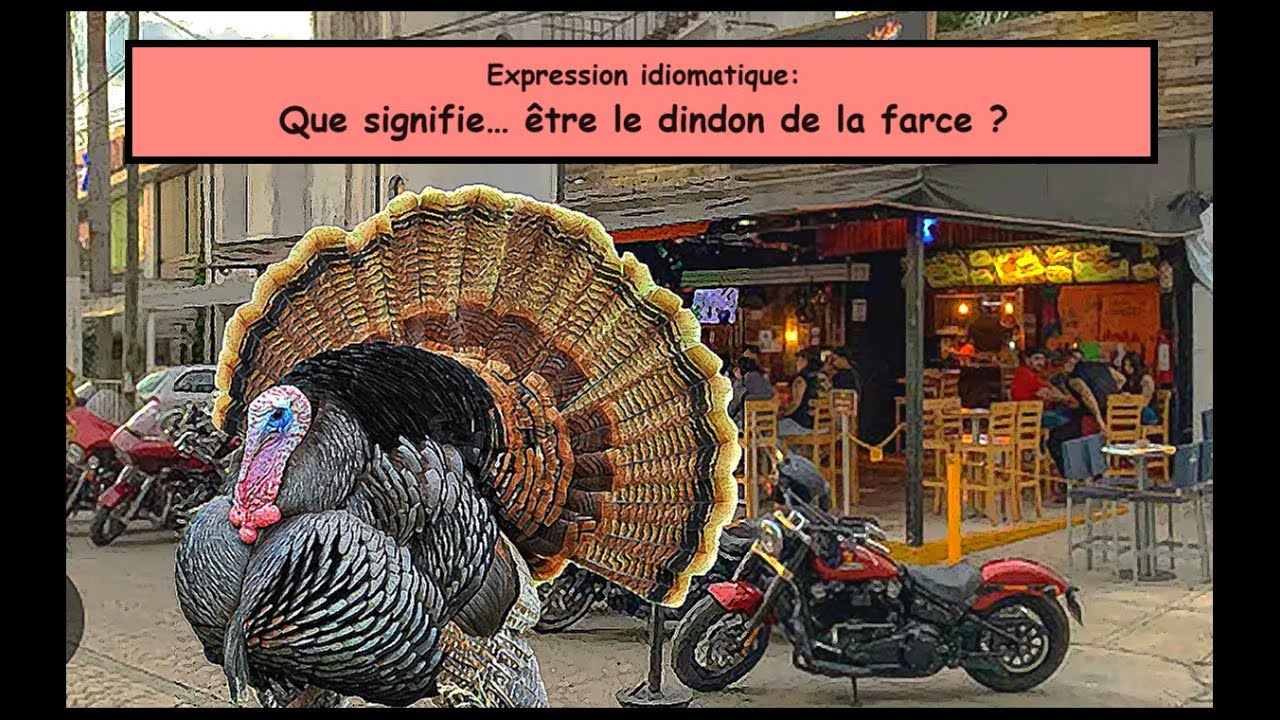 Expression idiomatique 1 - être le dindon de la farce - YouTube