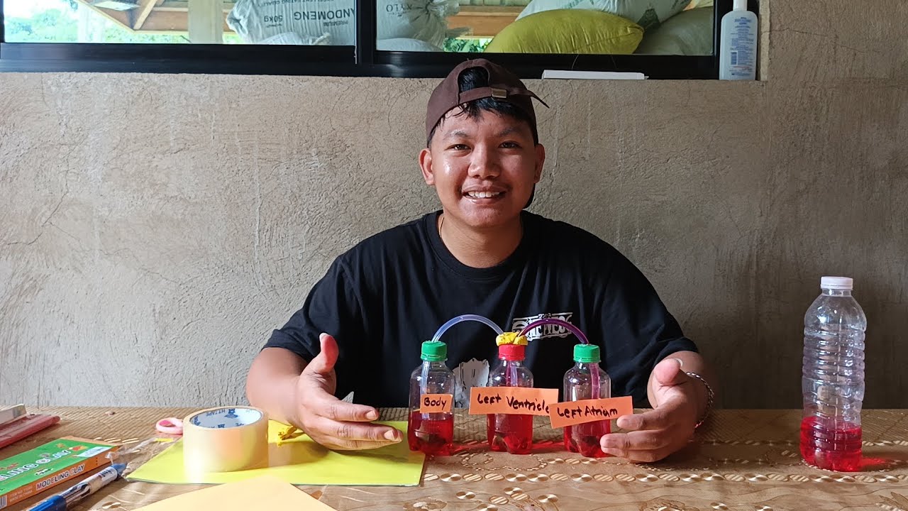 PUMPING HEART MODEL (BIO 4 - ANATOMY AND PHYSIOLOGY) - YouTube