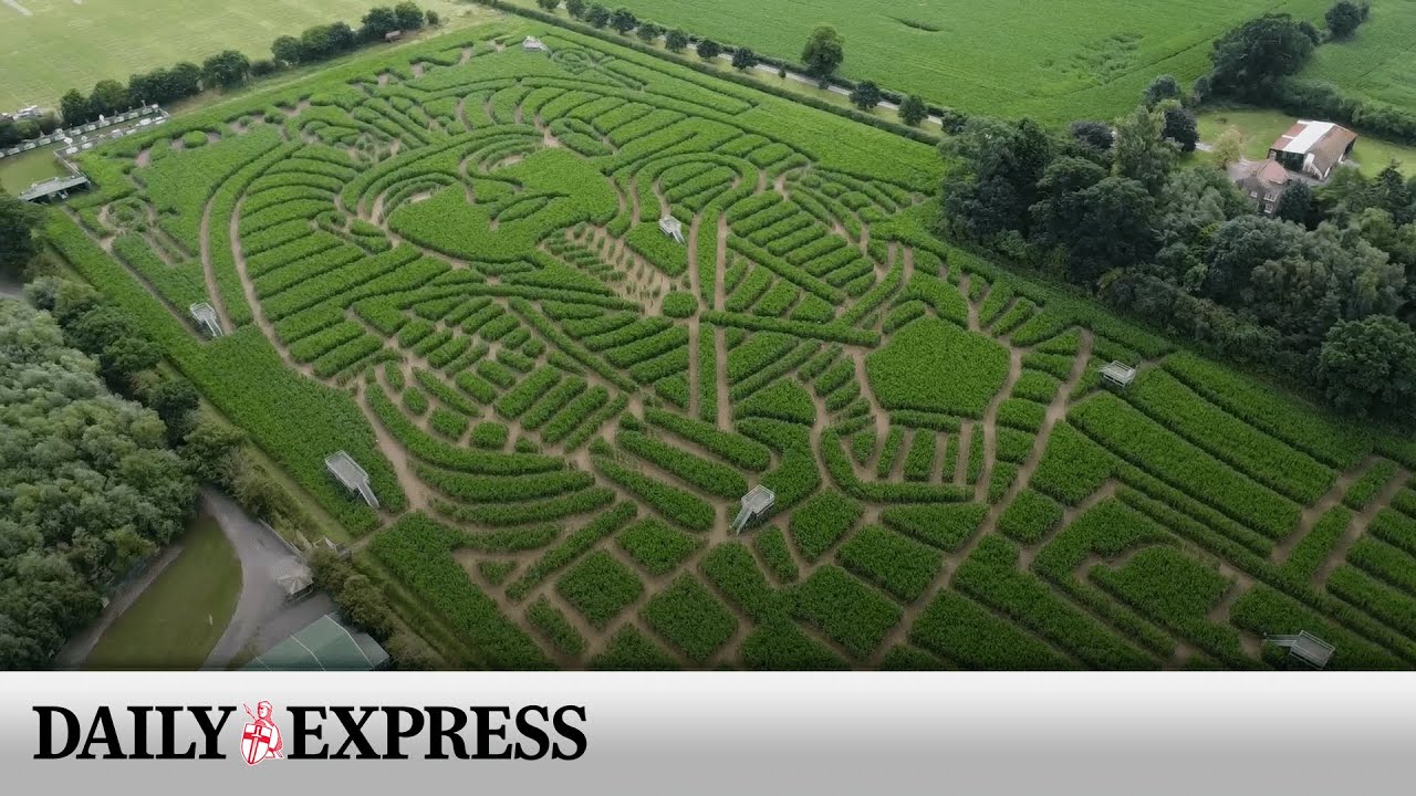 York Maze marks 100 years since discovery of Tutankhamun’s tomb - YouTube