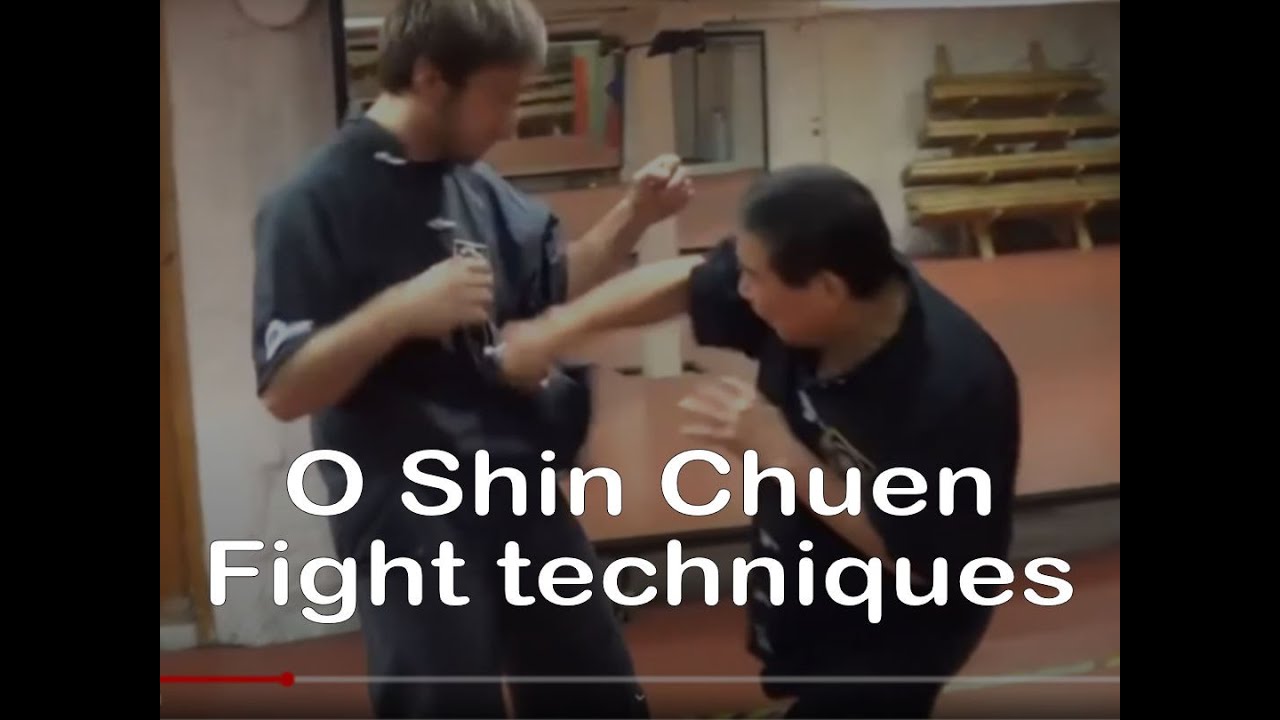 Da Sifu Louis Linn Fighting Techniques - YouTube