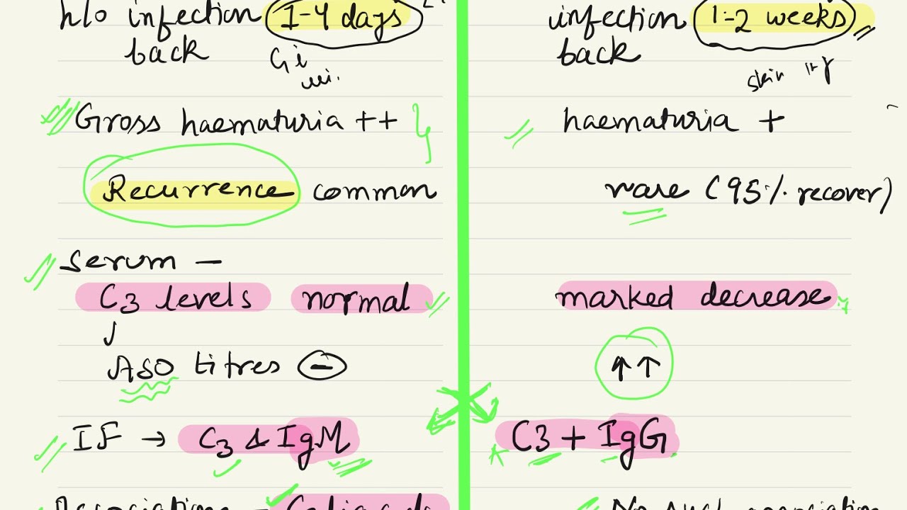 Renalpath Iga Nephropathy Vs Psgn Imp For Pbq ️ Youtube 7576