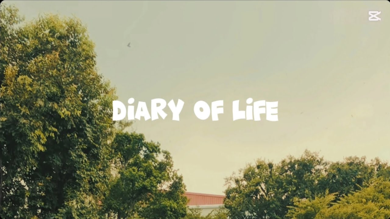 Diary of Life - YouTube