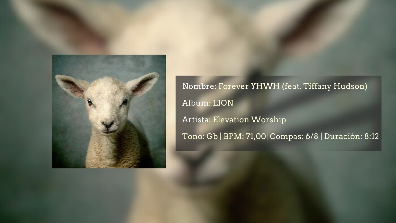 Multitrack | Forever YHWH (feat. Tiffany Hudson) | LION | Elevation ...