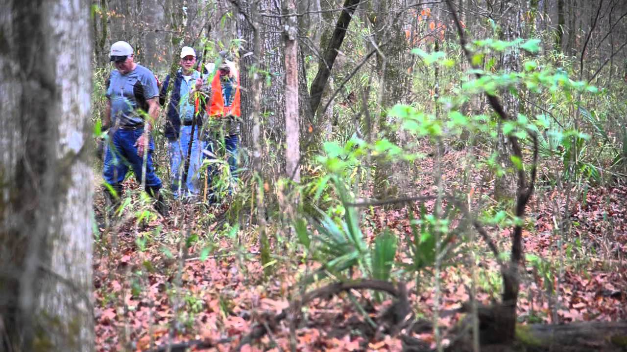 Hike Through Oaky Woods - YouTube