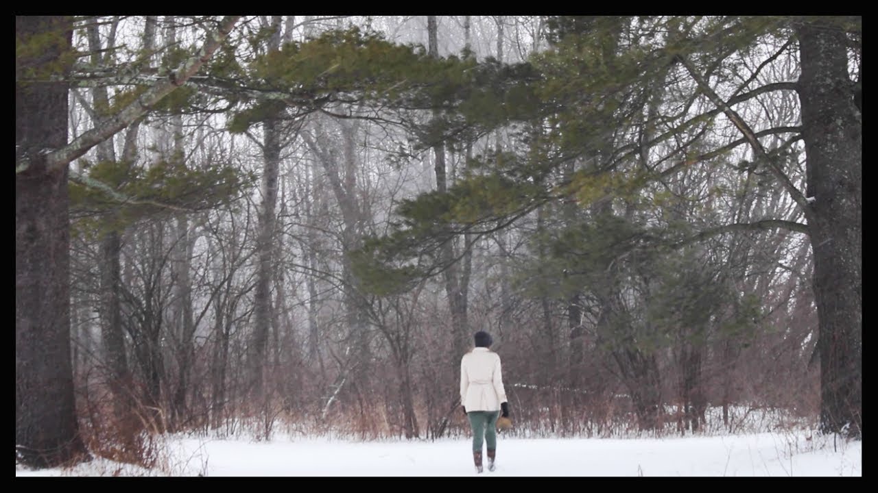 Pine Needle Tea | The perfect wildcrafted winter drink - YouTube