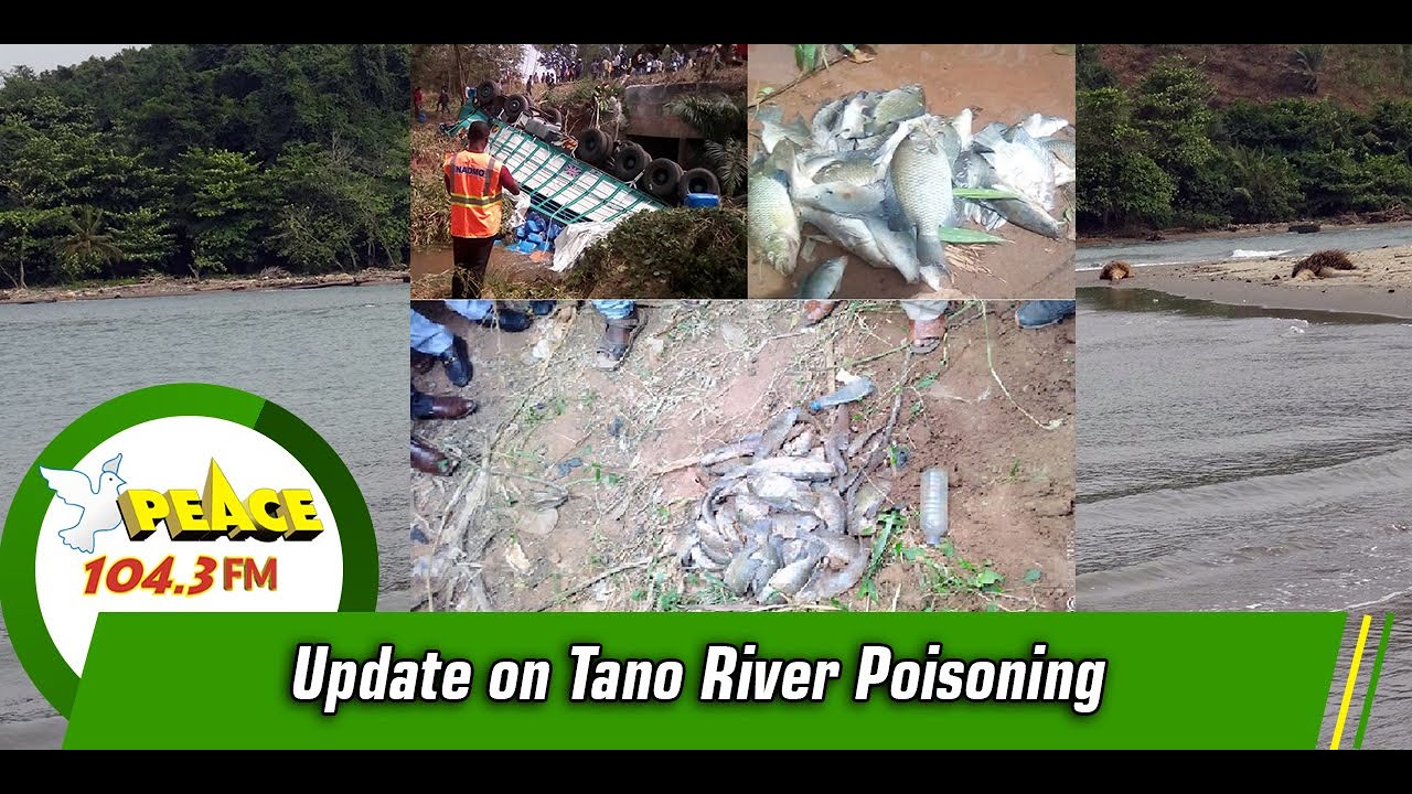 UPDATE ON TANO RIVER POISONING (15/01/2020) - YouTube