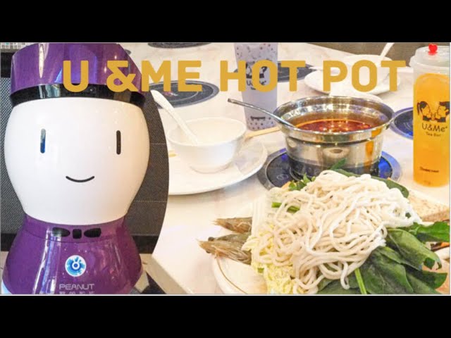 U And Me Hot Pot 275: Hot Pot – How Baby