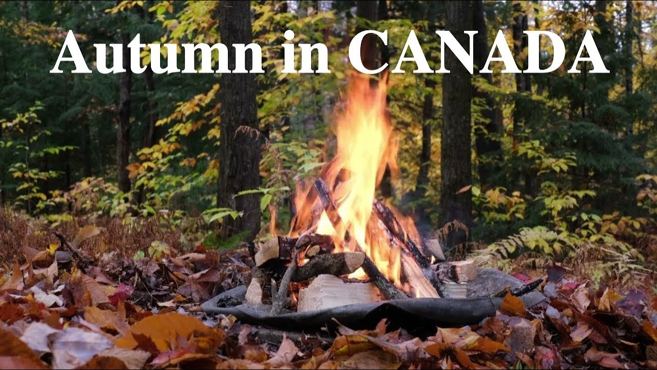 Autumn Campfire: The Most Relaxing 4K Experience - YouTube
