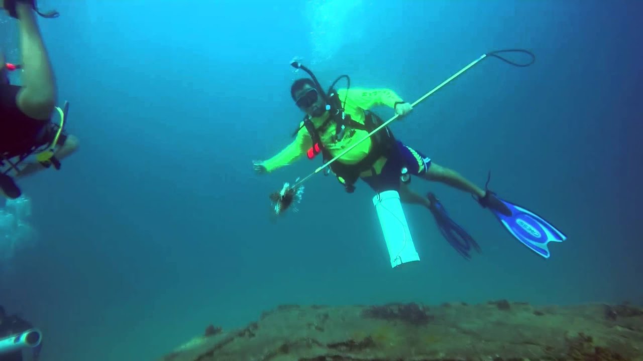 Debbie two Katelynn and Kim first cull video - YouTube