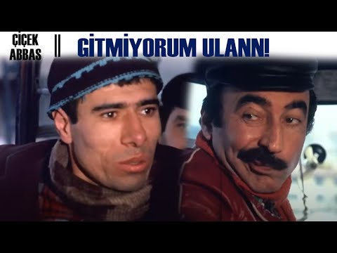 Çiçek Abbas | ŞAKİR YOLCUYA DAYILANIYOR!