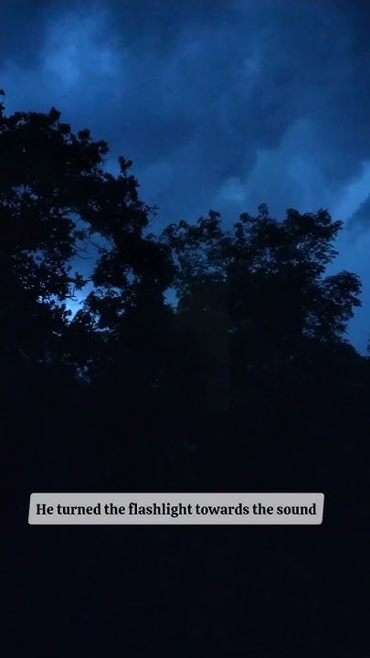 TRUE HORROR STORY: The Echoing Footsteps! #scary #scarystories # ...