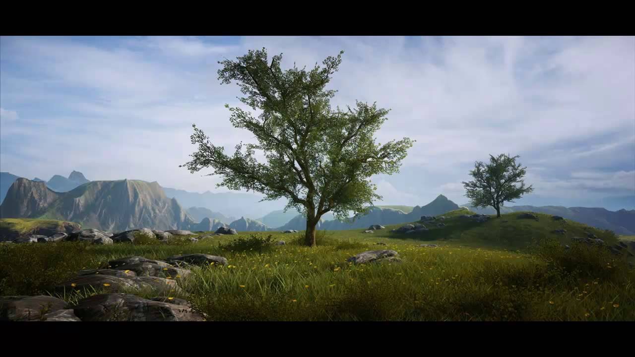 Oak Tree Introduction - YouTube