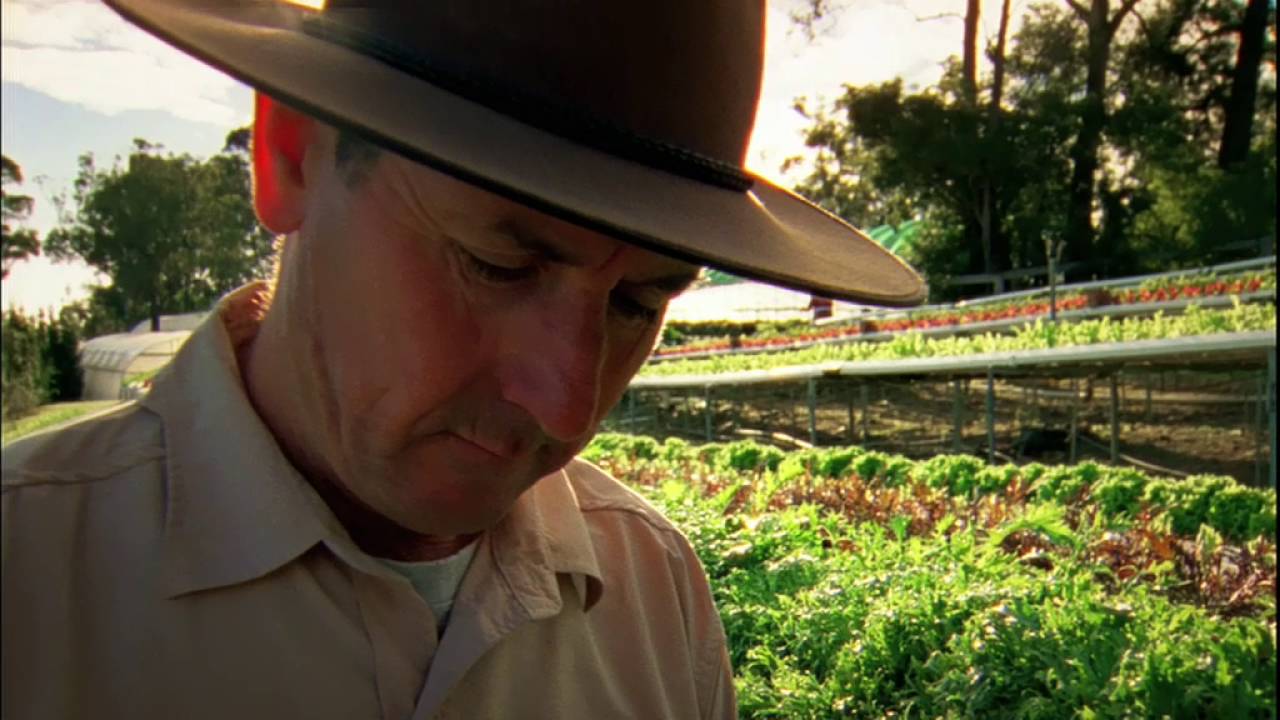 Visa Business – Darling Mills Farm - YouTube
