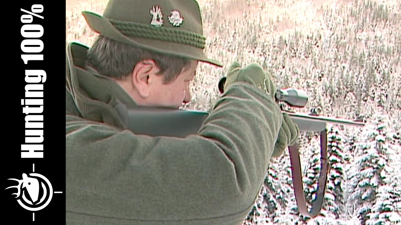 Deer Hunting in the North of France - YouTube
