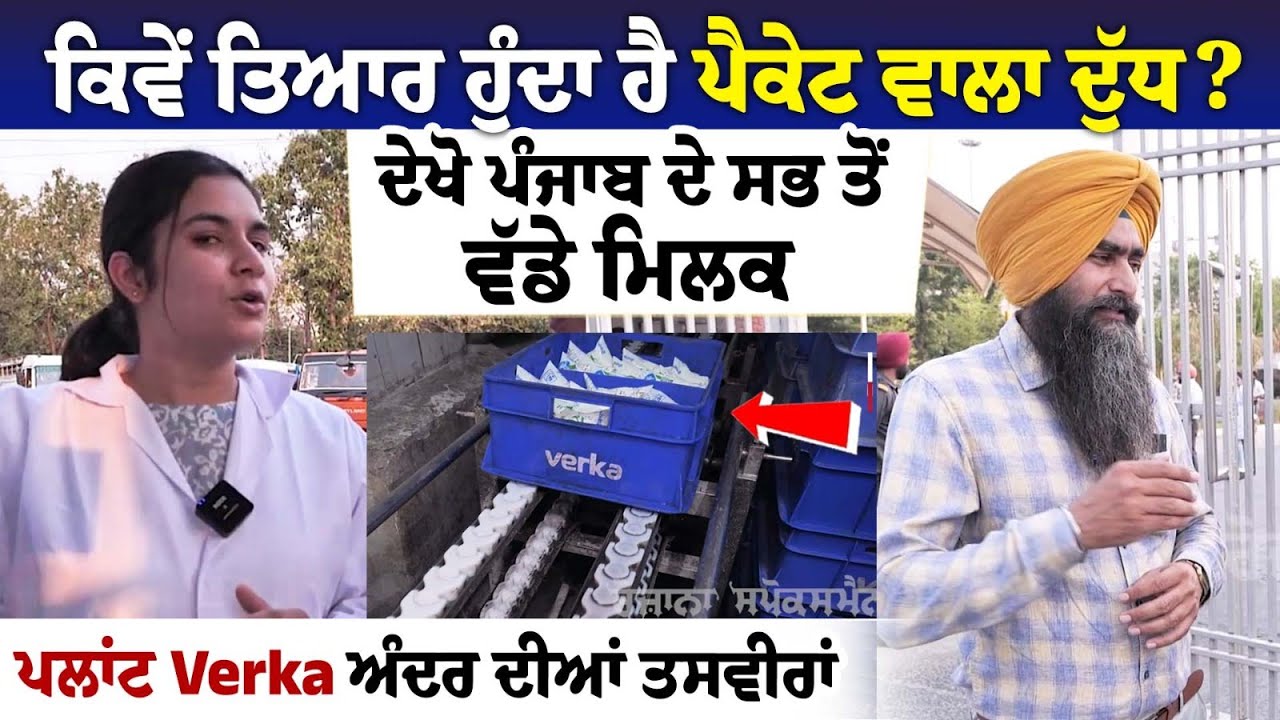 Verka Plant Mohali : ਕਿਵੇਂ ਤਿਆਰ ਹੁੰਦਾ ਹੈ ਪੈਕੇਟ ਵਾਲਾ ਦੁੱਧ? Punjab ਦੇ ਸਭ ...