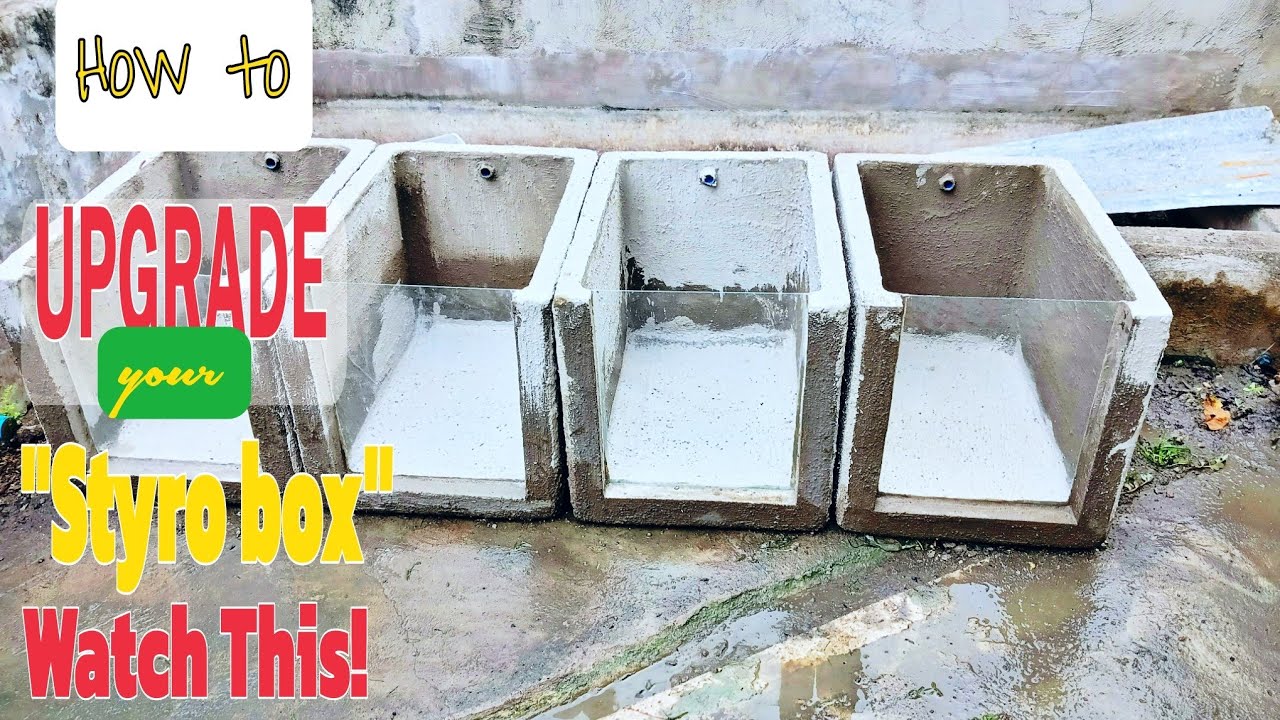 MURANG PARAAN NG PAG UPGRADE STYRO BOX (FISH TANK)/ ORNAMENTAL FISH ...