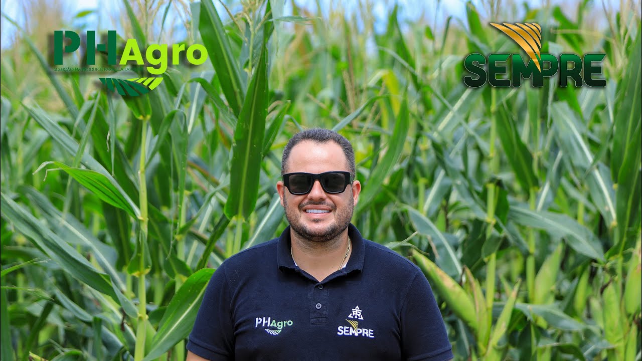 Semente de milho 20A12 VIP3 - PH AGRO - YouTube