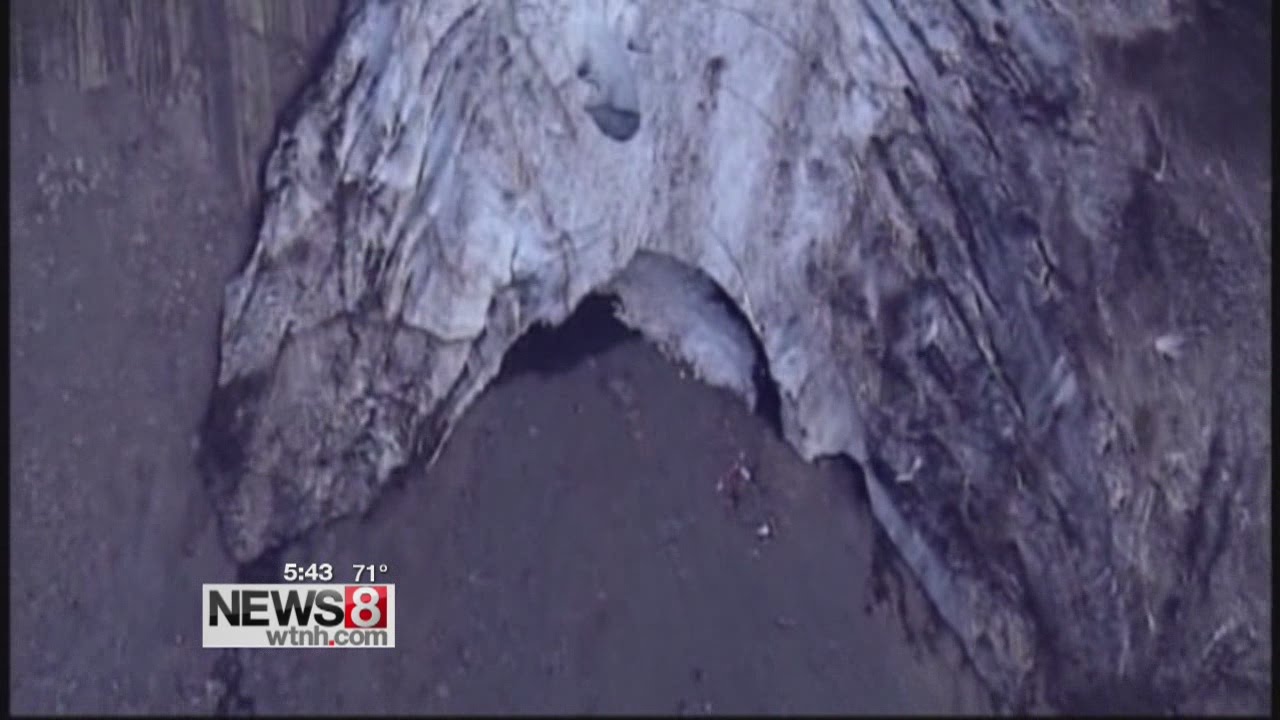 Deadly Washington ice cave collapse after warm temperatures - YouTube