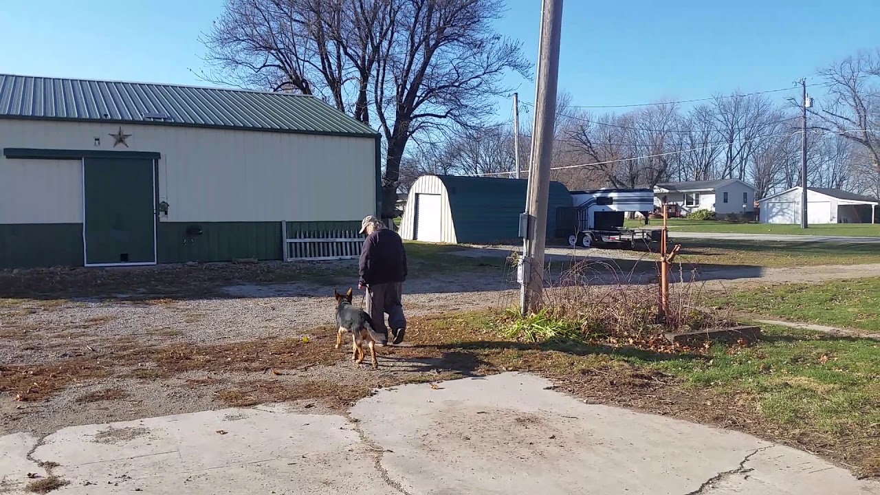 Raptor walk pt.2 - YouTube