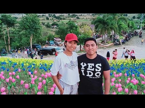 10,000 tulips sa Bucay, Abra + 1 day stroll | Abra | Rides | Layugan ...