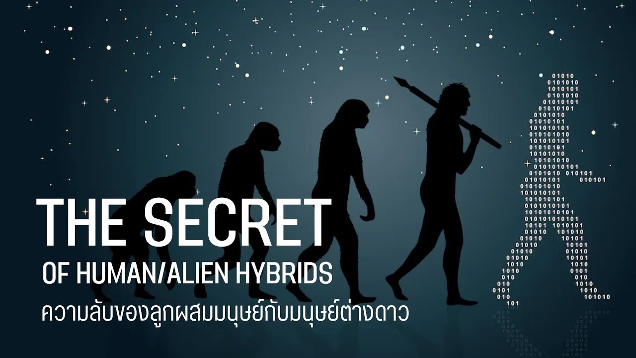 The secret of Human/Alien Hybrids ความลับของลูกผสมมนุษย์กับมนุษย์ต่าง ...