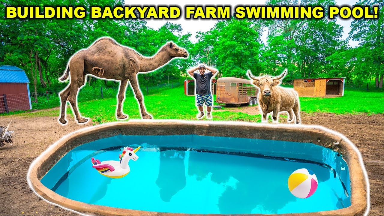 Building My BACKYARD FARM Animals a INGROUND Swimming Pool!!! - YouTube