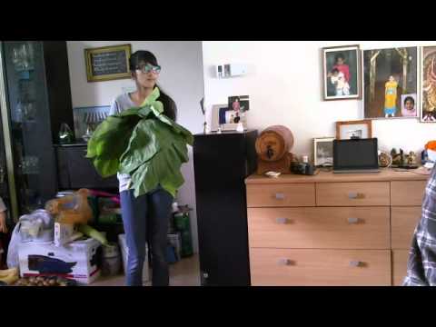 tajerblad of boterblad - YouTube