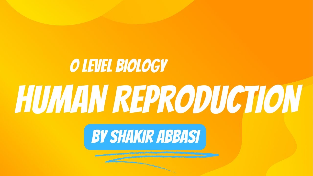 O Levels Biology "HUMAN REPRODUCTION" | Video 2 | by Shakir Abbasi ...