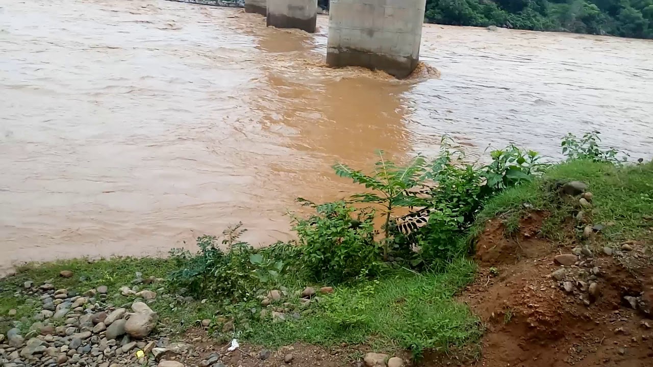 Salunki 2019 - YouTube