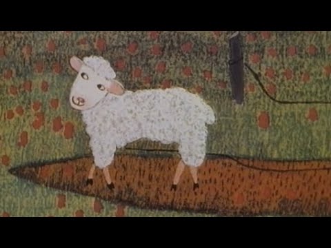 Borreguita & The Coyote (Storybook Time! 📚) - YouTube