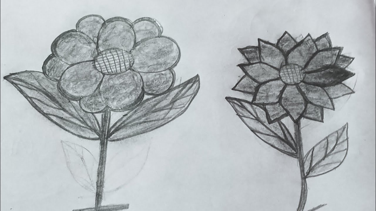 How to turn 6 numbers into different types of flowers 🌻for kids and ...